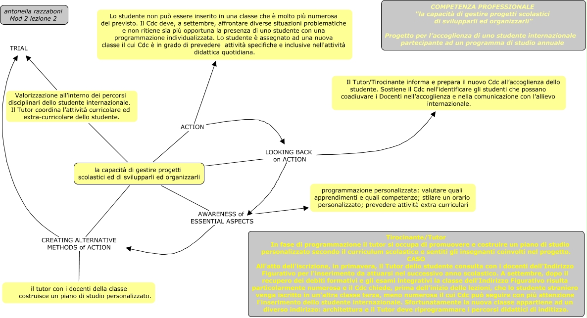 competenza professionale - Mappa Concettuale